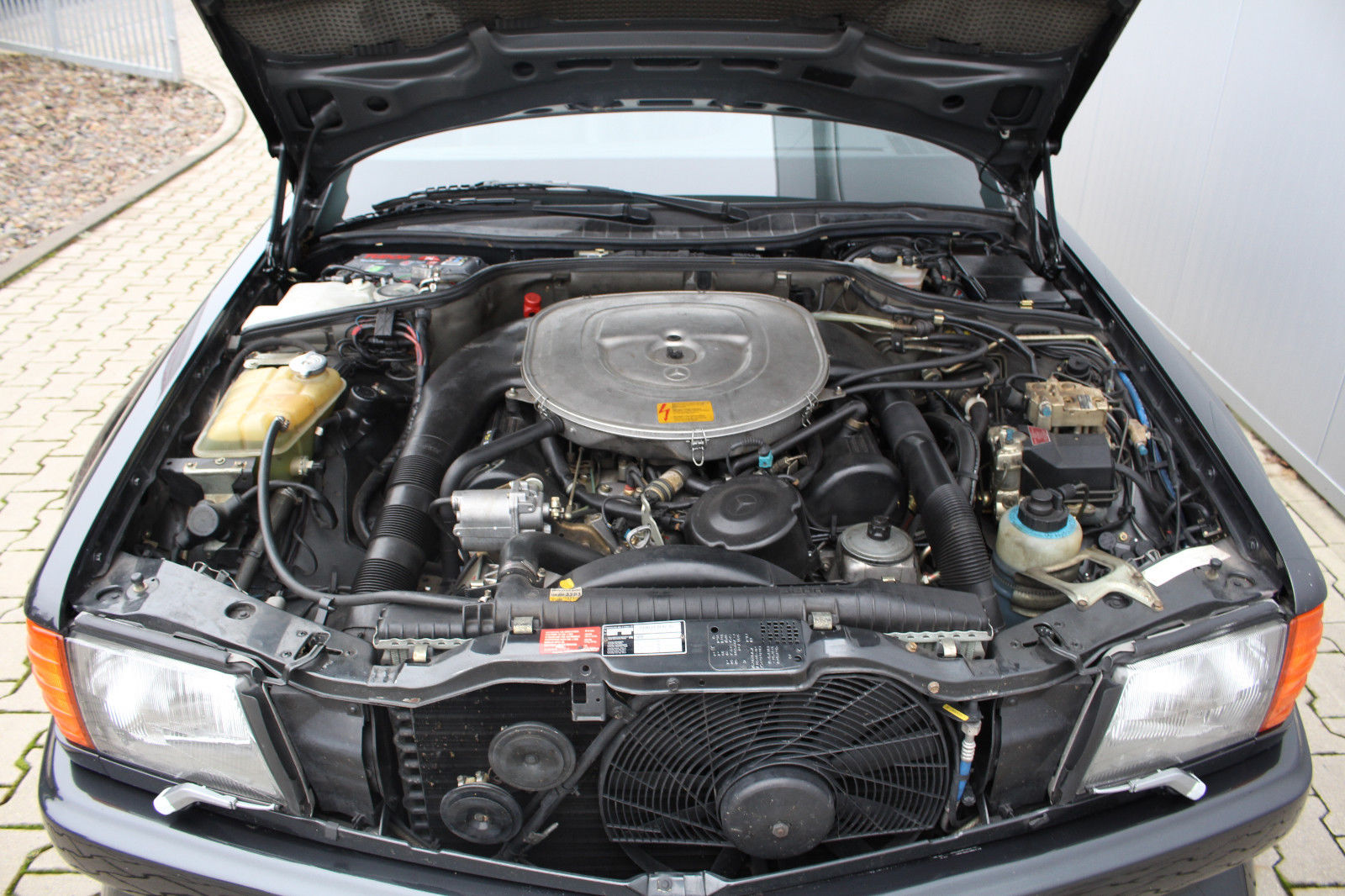 Photo Gallery (pics ONLY, non pic posts deleted) | Page 65 | Mercedes ...